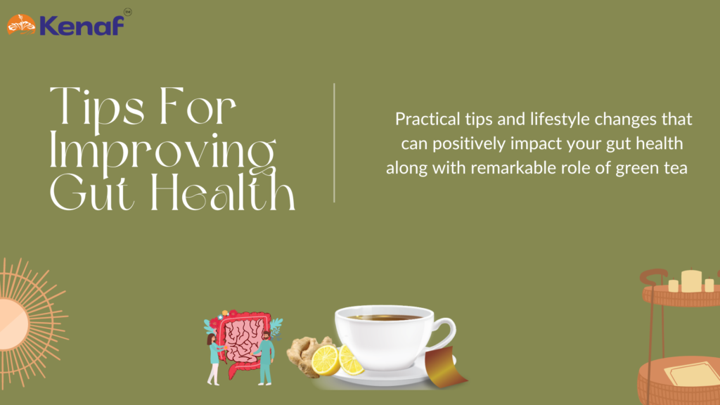 Improve Your Gut Health: Essential Tips for Enhancing Digestive Health ...